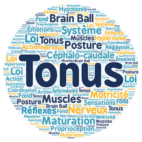 Tonus définition : tonus de fond, postural et d’action