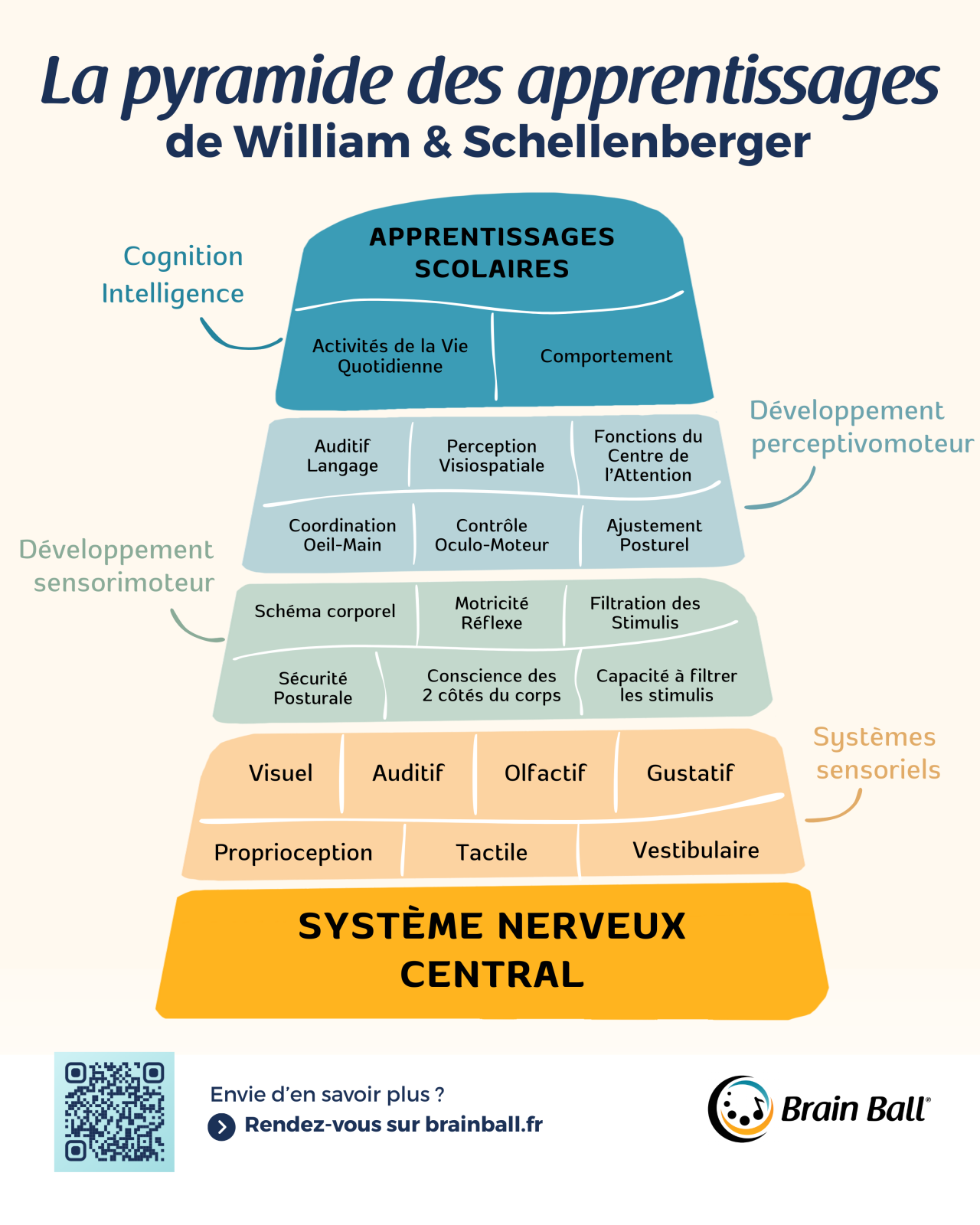 La Pyramide des apprentissages de Williams et Shellenberger